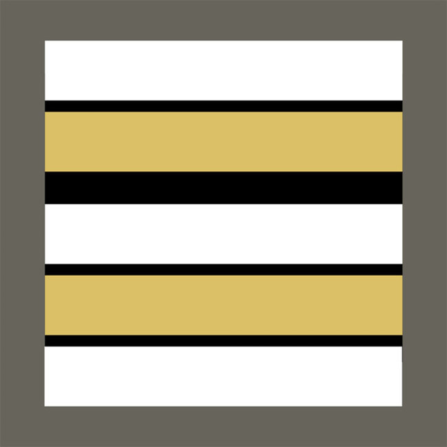 Grade haute visibilité blanc Lieutenant-colonel - A10