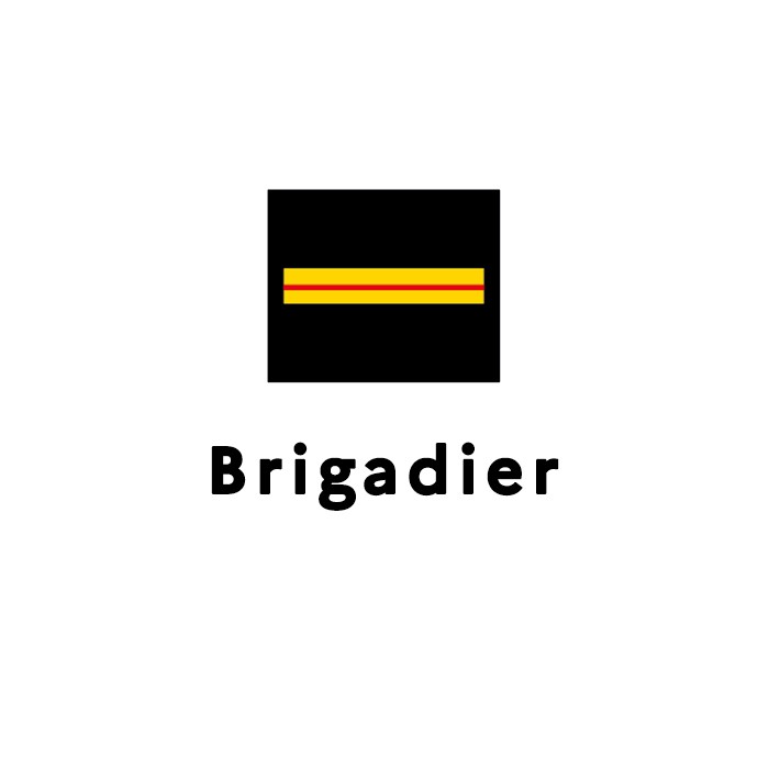 Todo sobre los rangos e insignias de la Policía Nacional