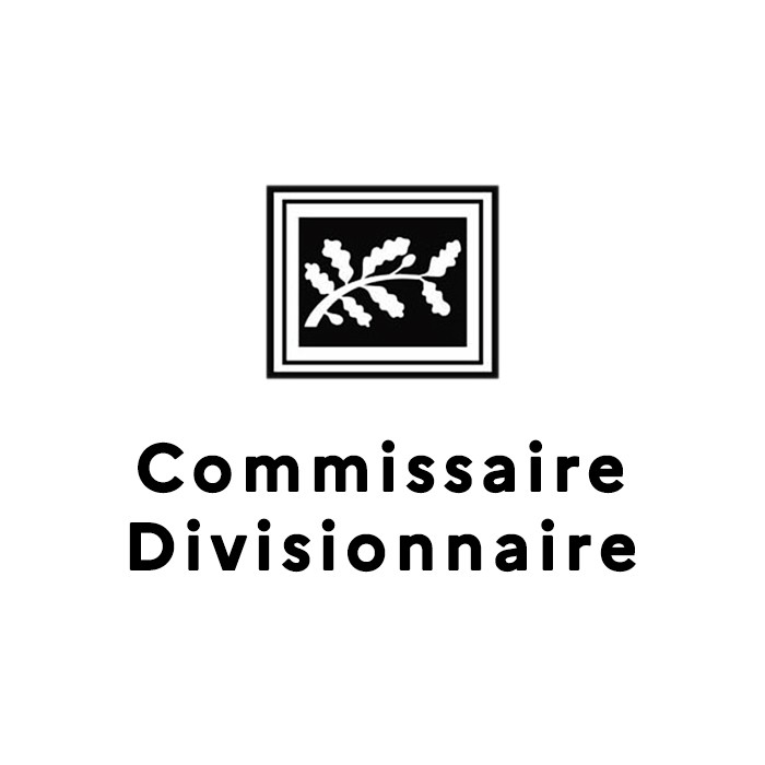 Everything you need to know about ranks and insignia in the National Police