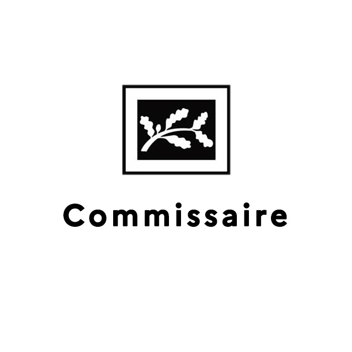 Everything you need to know about ranks and insignia in the National Police