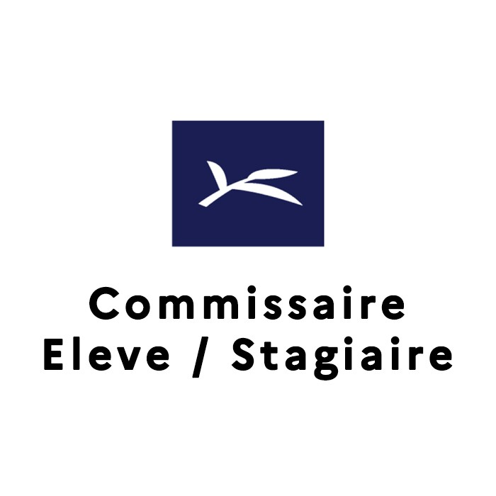 Tout savoir sur les grades et galons de la Police Nationale