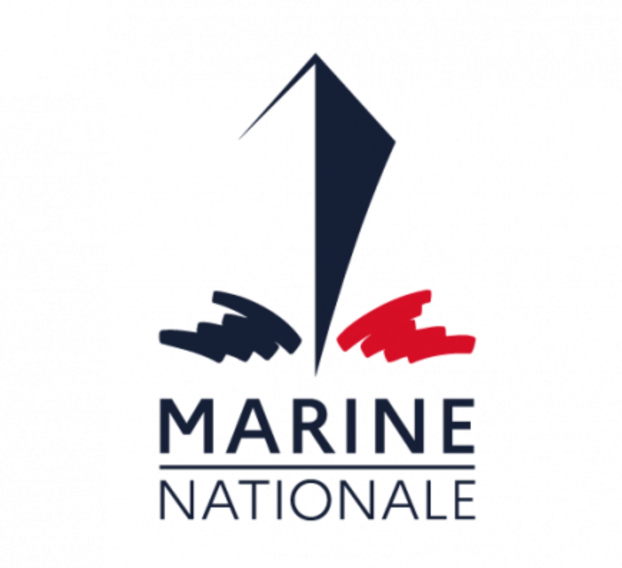 The organization of the French Army: a hierarchical and complex system